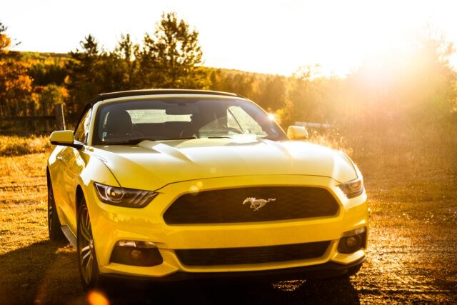 En Popüler Ford Araba Modelleri ve Özellikleri - Arabam Kaç Para